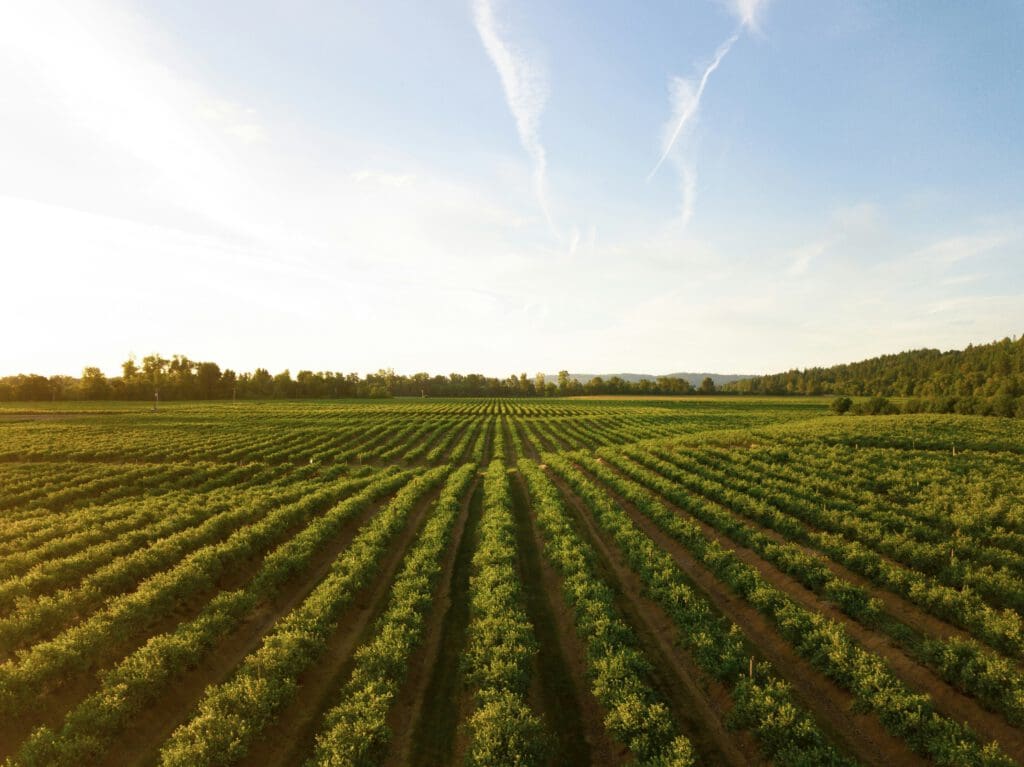 Board Of Directors - Kern County Farm
